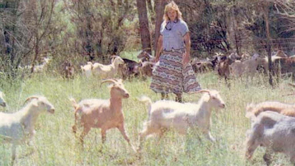 “Gypsy goat lady” travels with nature’s weed eaters